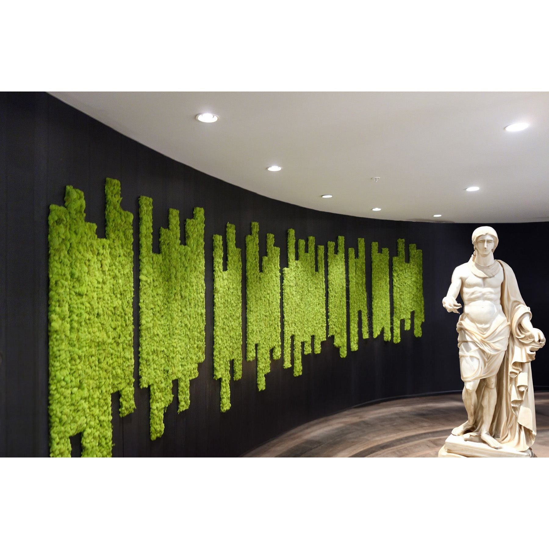 Biophilic Wall Art