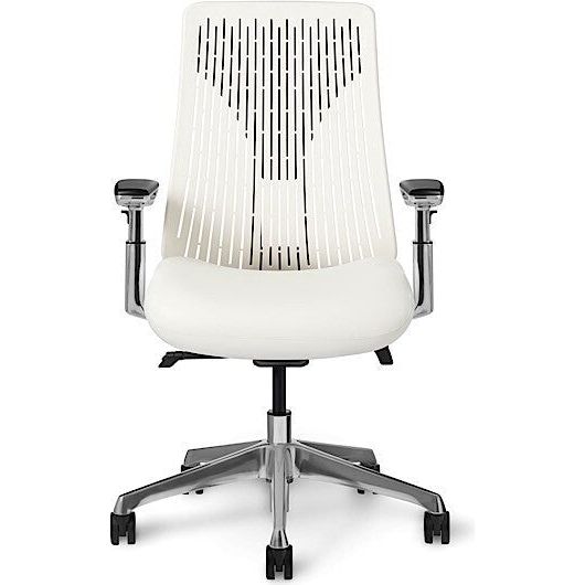 TY668 - Office Master Truly Body Activated Motion Ergonomic Chair
