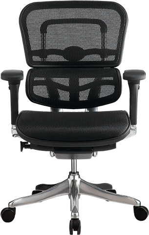 Eurotech Ergo Elite Mesh Ergonomic Task Chair | ME5ERGLTLOW-N15