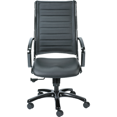 Eurotech Europa Titanium Frame High Back Task Chair | LE111TNM