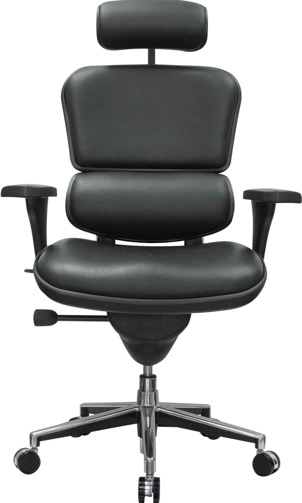Ergohuman Leather Ergonomic Task Chair with Adjustable Arms LE9ERG